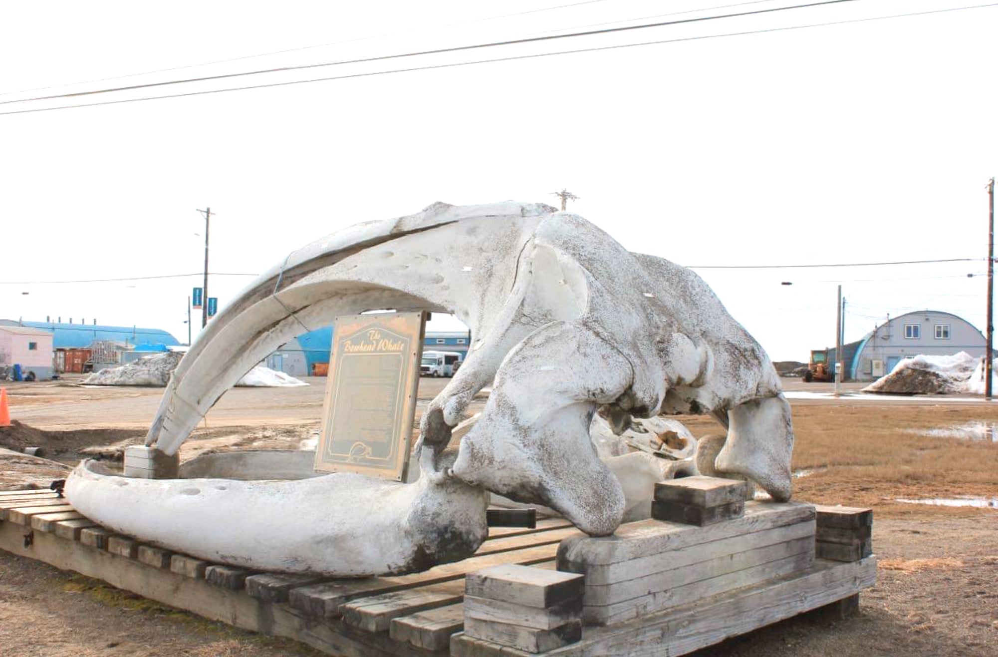 Tours to the Northernmost Point in the United States Utqiagvik, Alaska ...