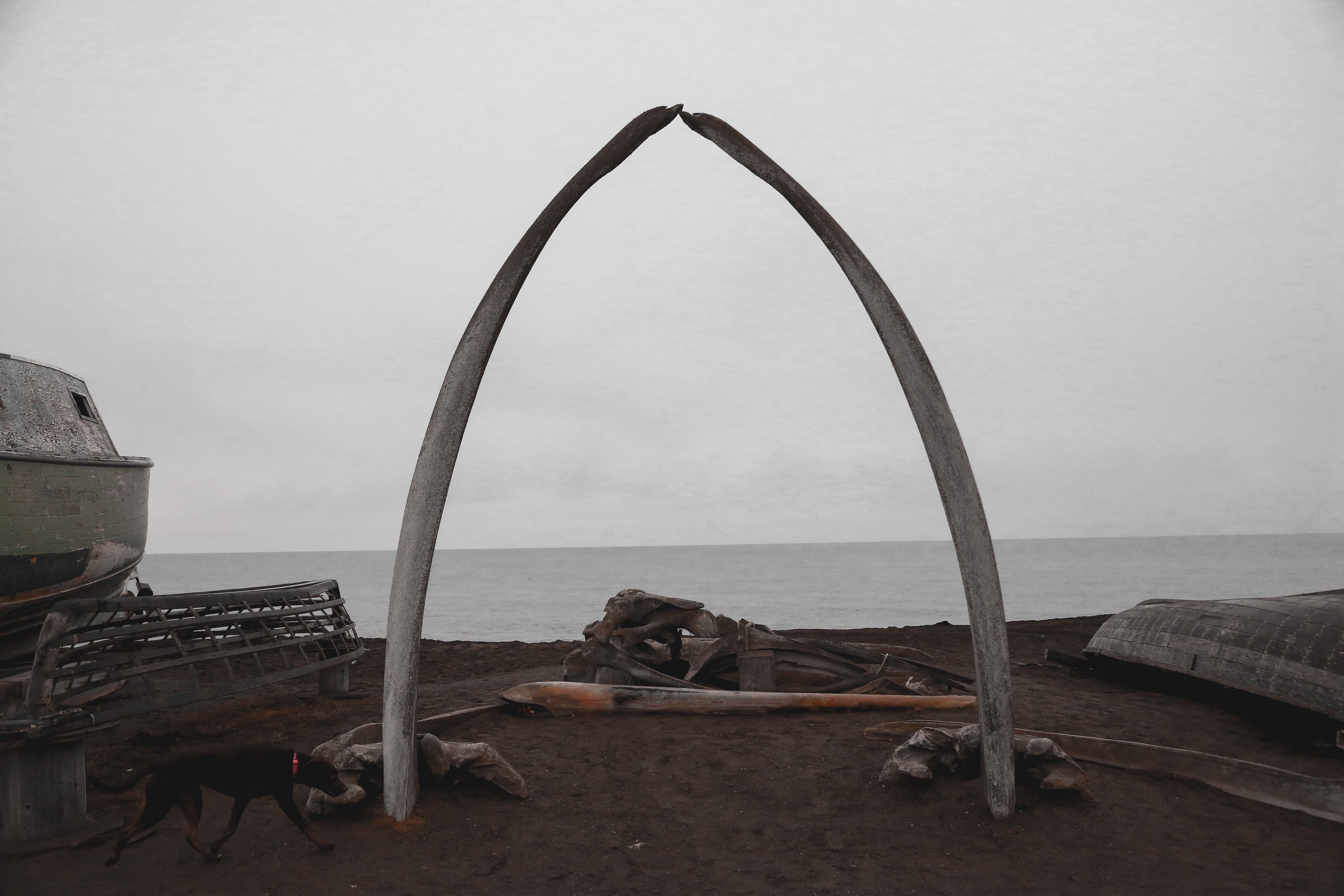 Tours to the Northernmost Point in the United States Utqiagvik, Alaska ...